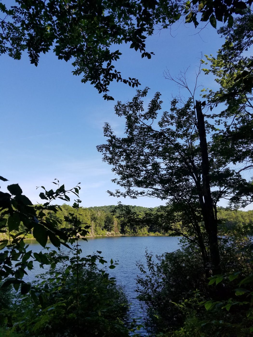 An Appalachian Trail Section Hike | Relatively Random